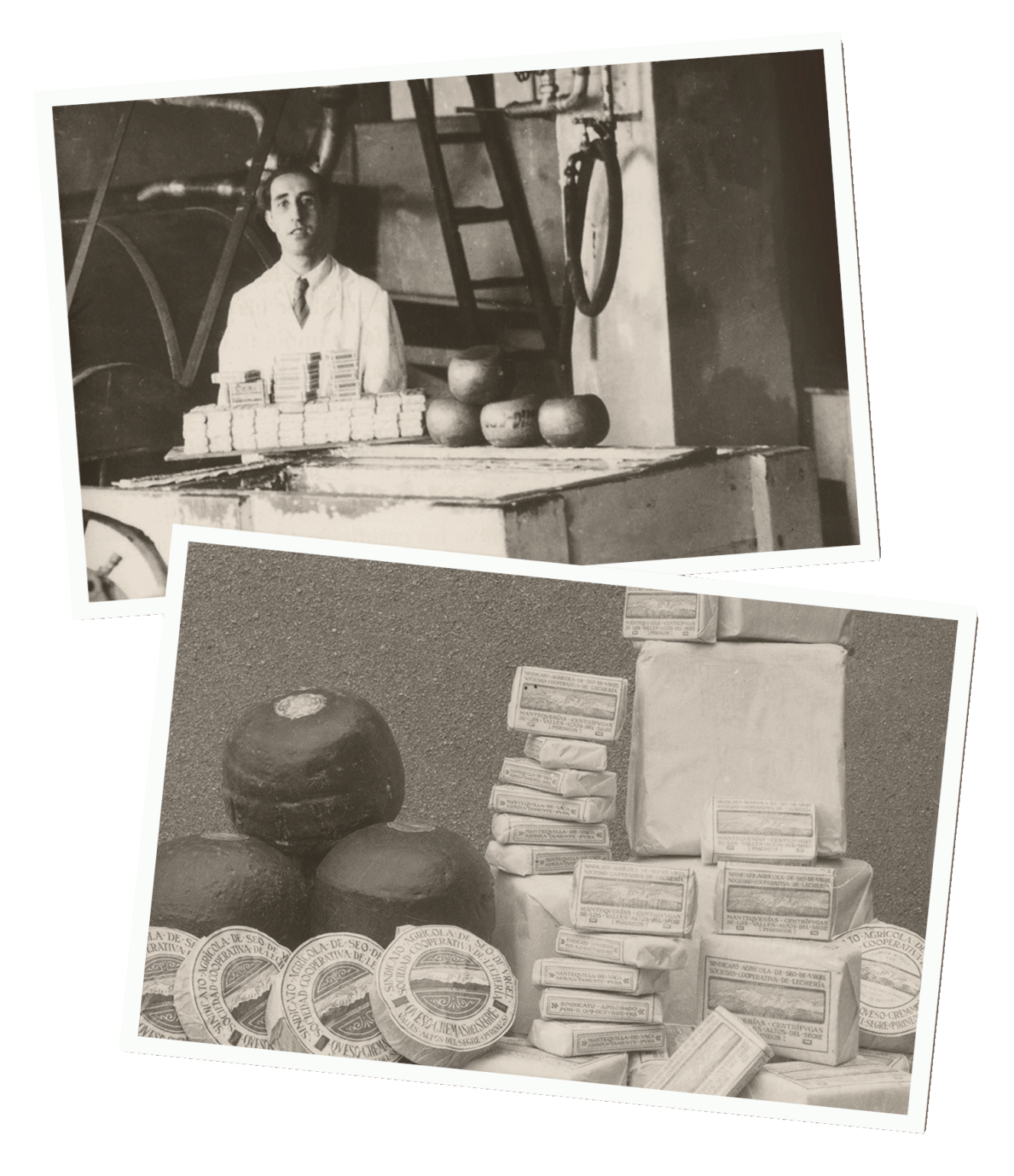 Home - Cadí | Since 1915