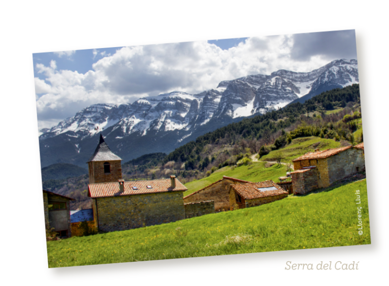 Home - Cadí | Since 1915